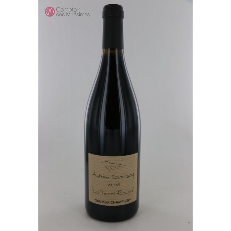 Saumur Champigny 2018 Les Terres Rouges - Antoine Sanzay
