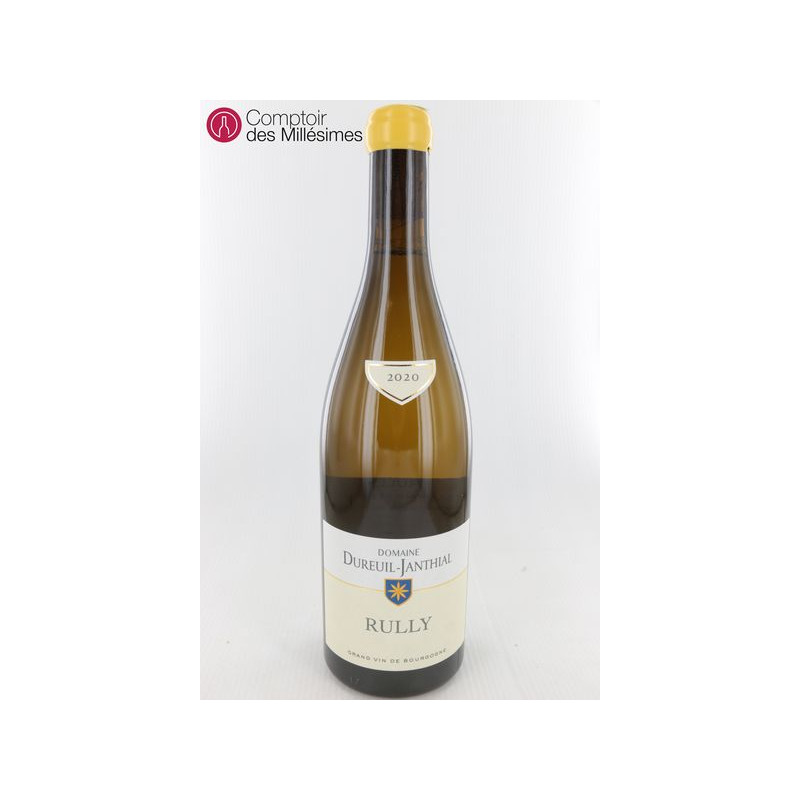 Rully blanc 2020 - Dureuil-Janthial au meilleur prix