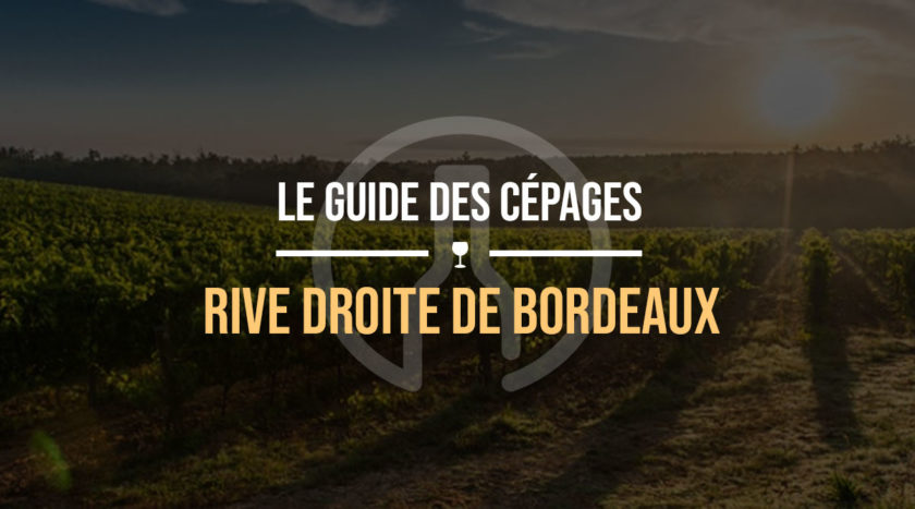 LES CÉPAGES DE LA RIVE DROITE DE BORDEAUX | GUIDE